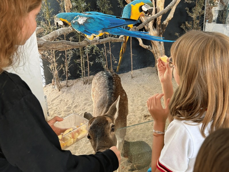 Zoológico Urbano: Conheça a mansão em São Paulo que oferece uma ...