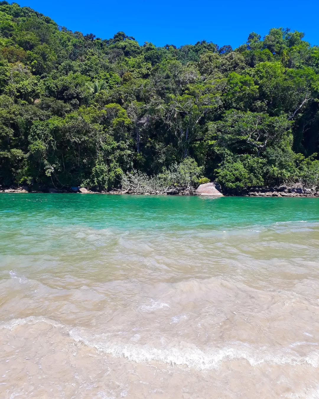 Ir para o litoral de trem? Descubra como chegar a uma praia incrível ...