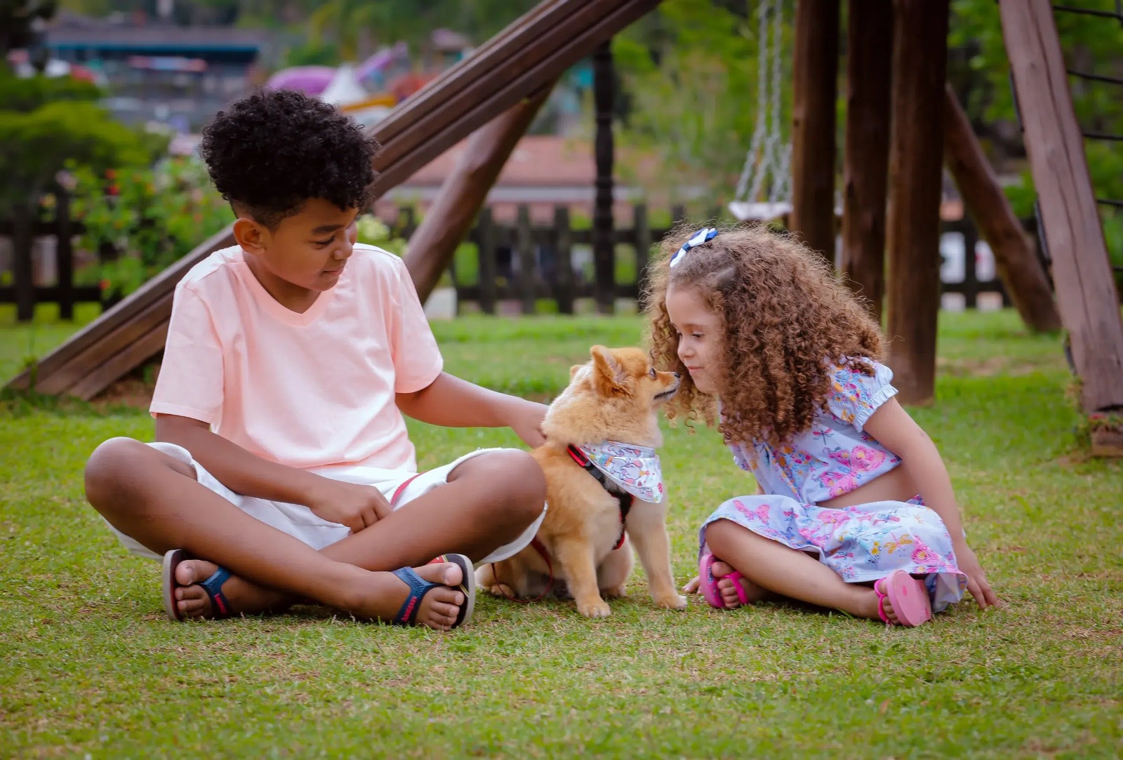 Vale Encantado: Conheça o paraíso pet-friendly com parque aquático e ...