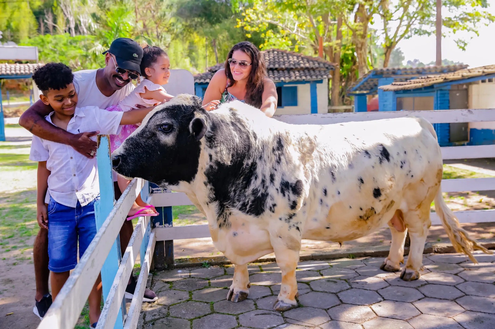 Vale Encantado: Conheça o paraíso pet-friendly com parque aquático e ...