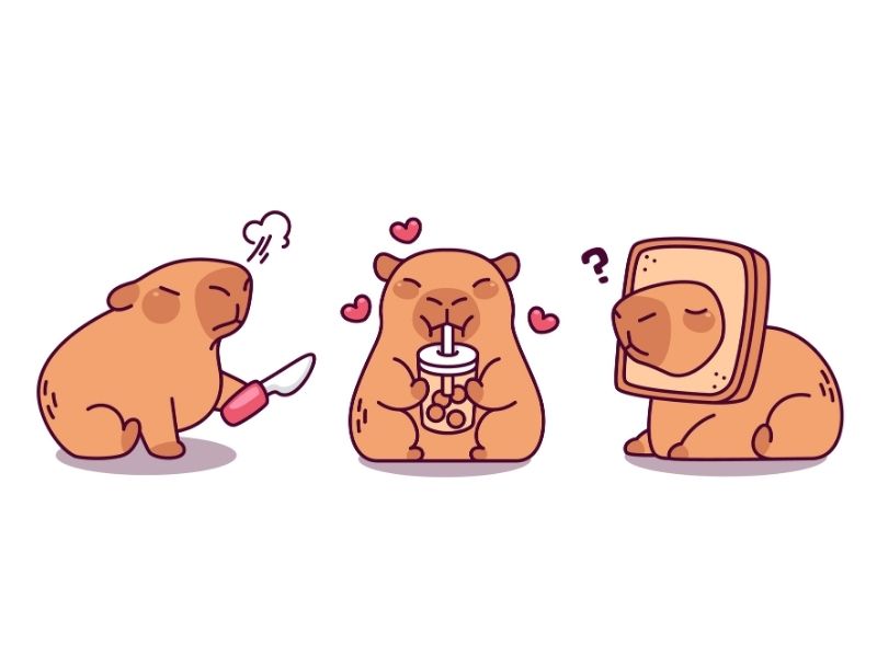 Modo Capivara no Whatsapp? Descubra como deixar seu aplicativo mais ...