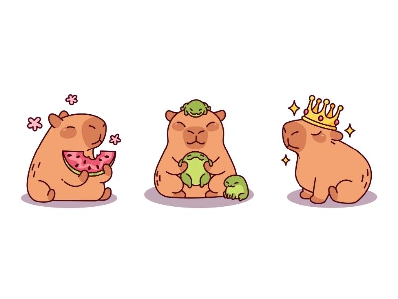 Modo Capivara no Whatsapp? Descubra como deixar seu aplicativo mais ...